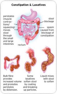 10 Best Natural Laxative Foods to Relieve Constipation - Solving the ...